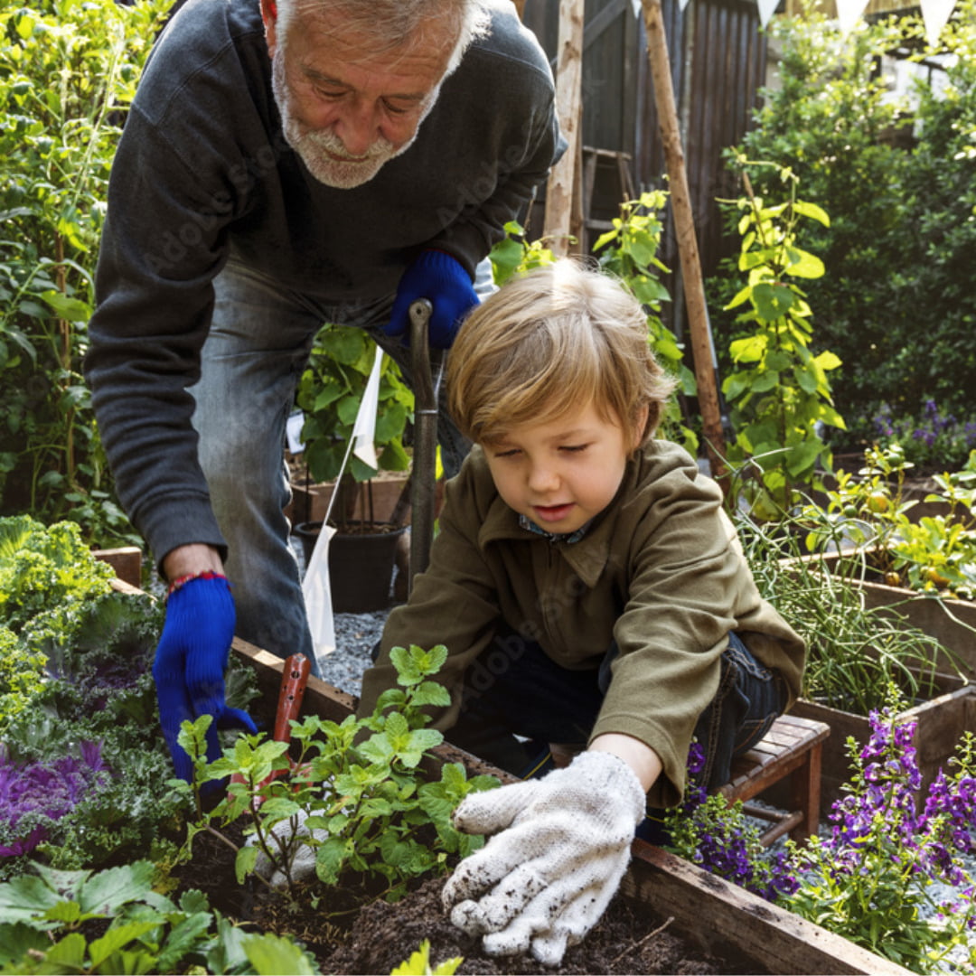 What is Hydrohog made from? - Hydrohog